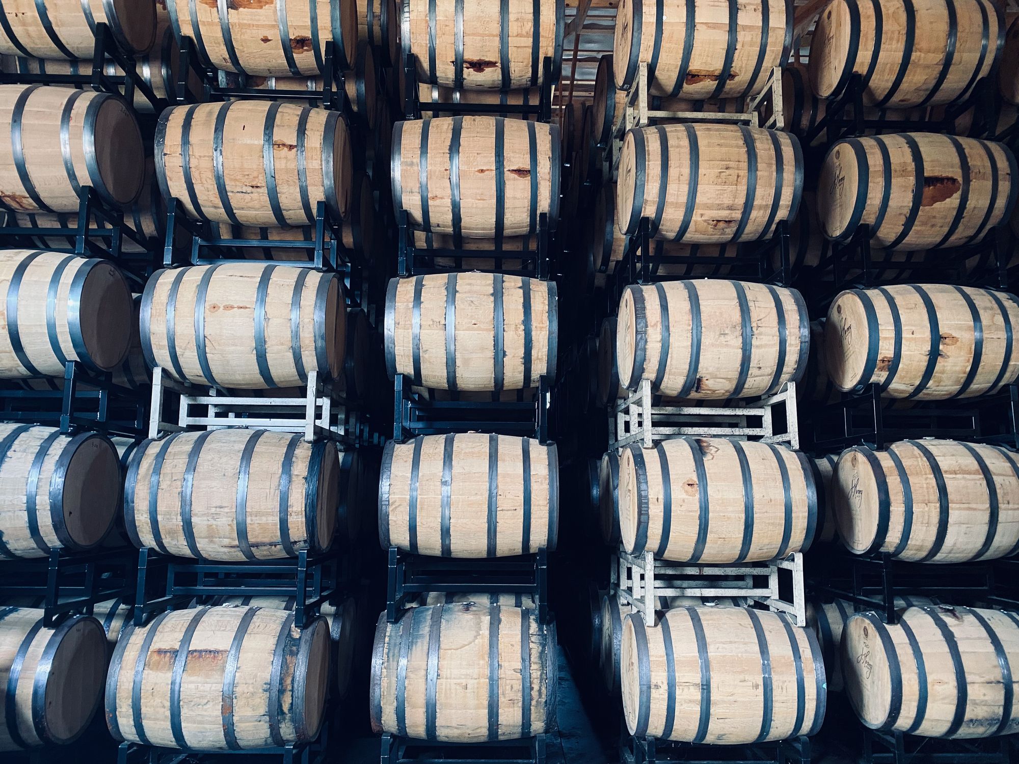 The Scuttlebutt on Gin